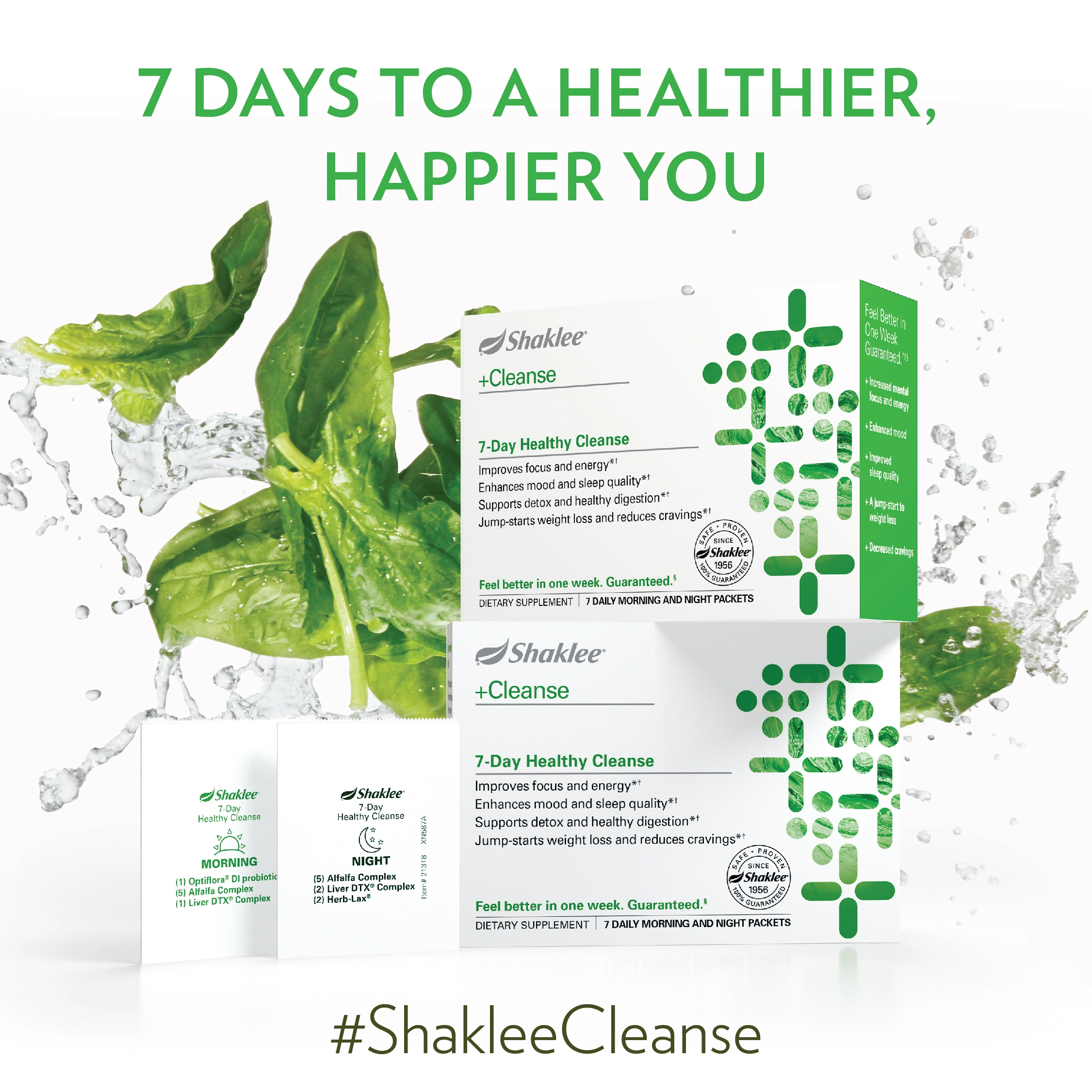 Why Do a Healthy Cleanse and Detox - All's Well Health Shaklee Dist